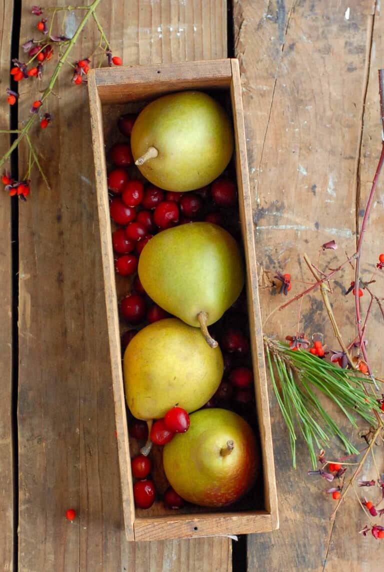 Cranberry Pear Sauce with ginger - Make It Skinny Please